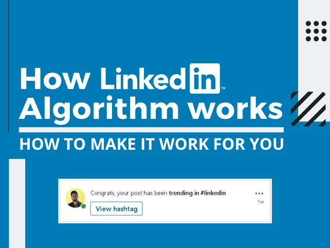 How Does LinkedIn Algorithm work? - Professional Guide. | PLUS7MEDIA